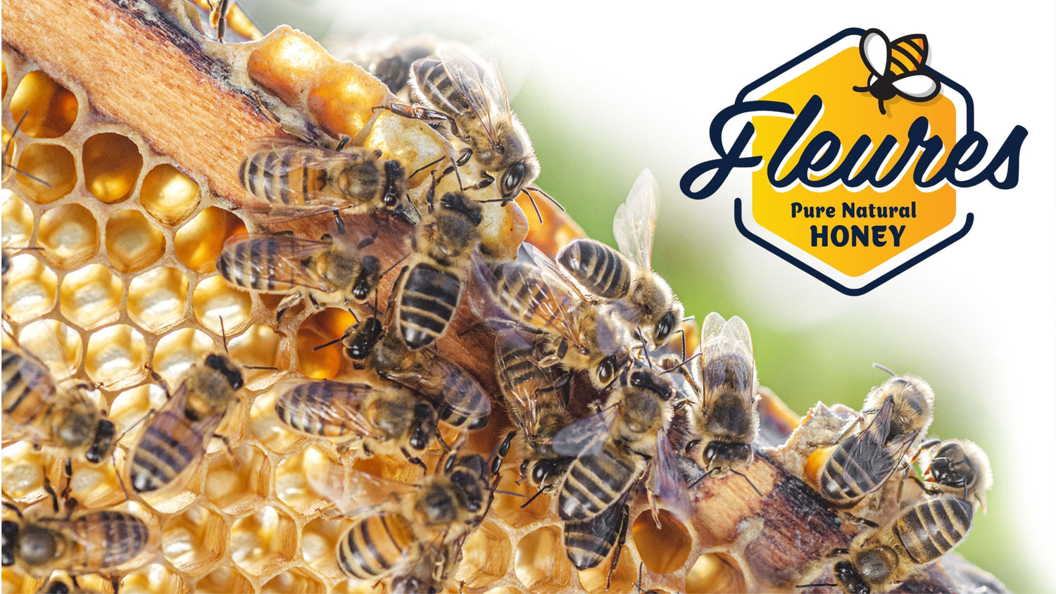 Fleures Honey